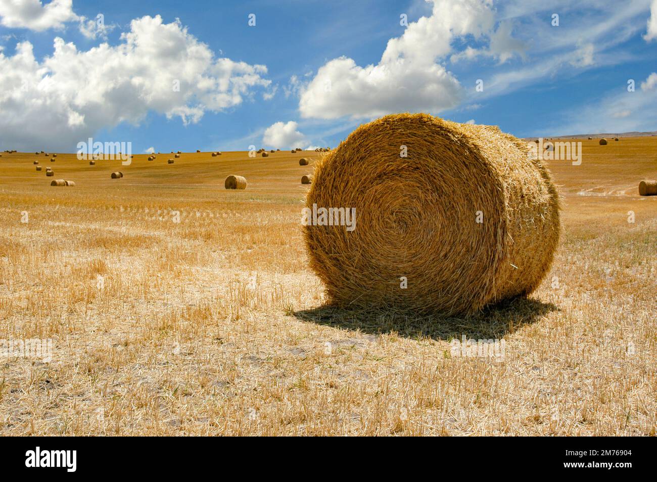 Rolling wheat dakota hi-res stock photography and images - Alamy