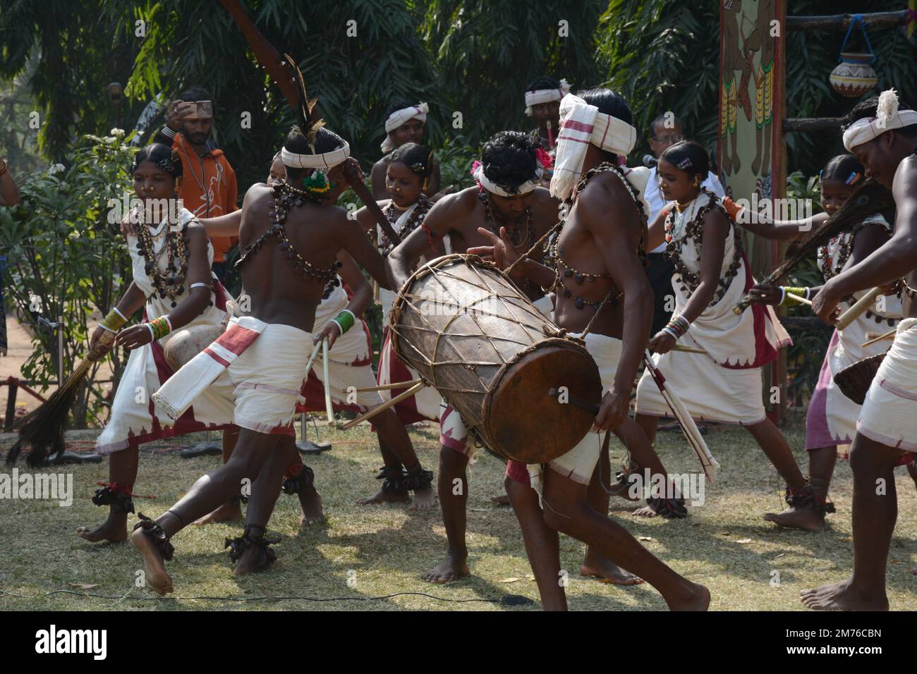 Santiniketan, West Bengal, India. 7th Jan, 2023. The Duruwa, Dhurwa, or ...