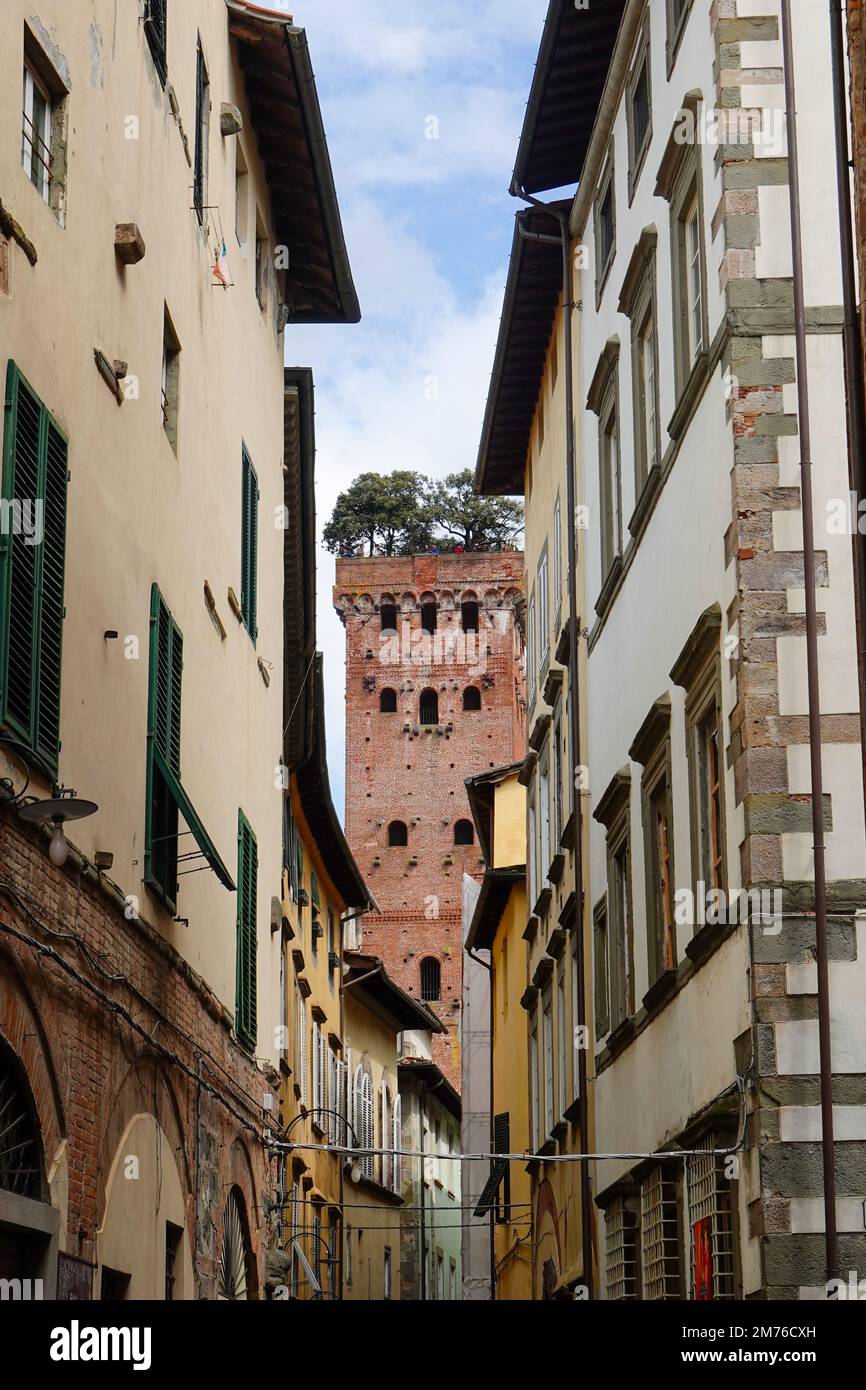 The 45 meter high Guinigi Tower with people on the top under the Holm ...