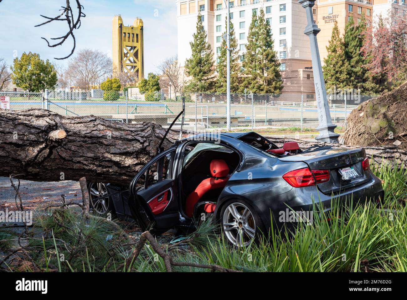 Bmw Wrapped Around Tree
