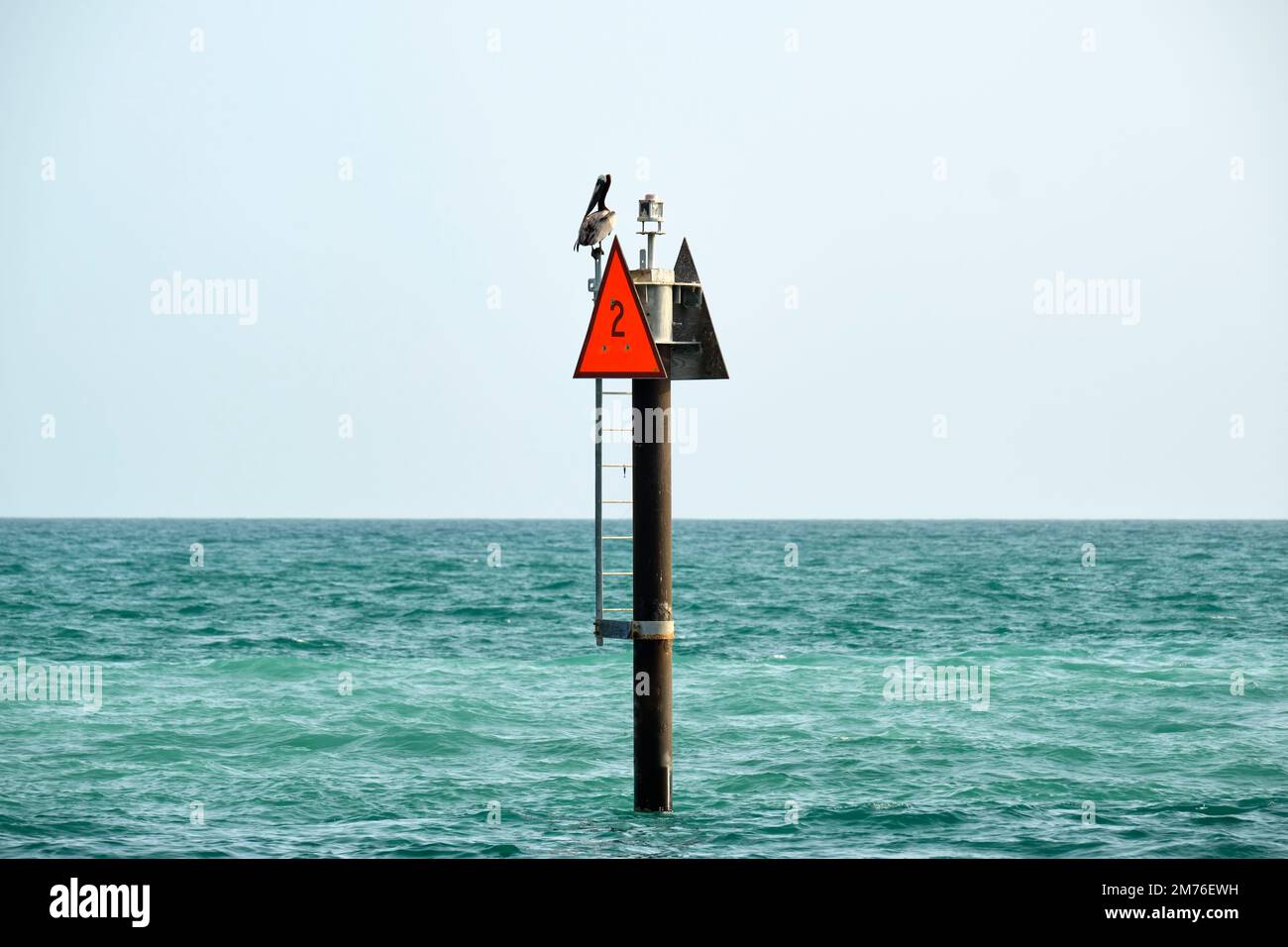 Sea bird pelican sitting on top of metal pipe with signs far from shore ...