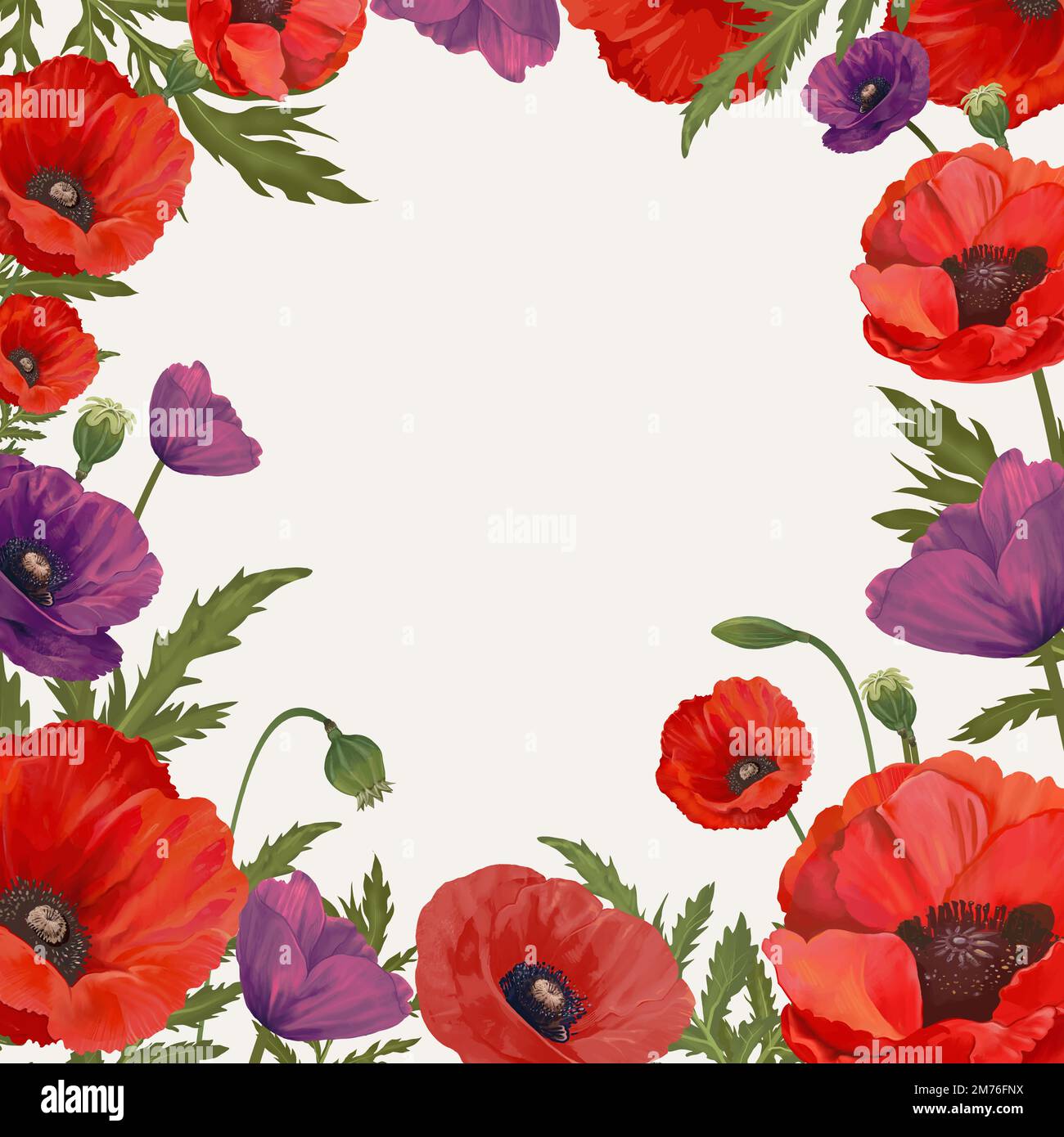 Blank floral frame design vector Stock Vector Image & Art - Alamy