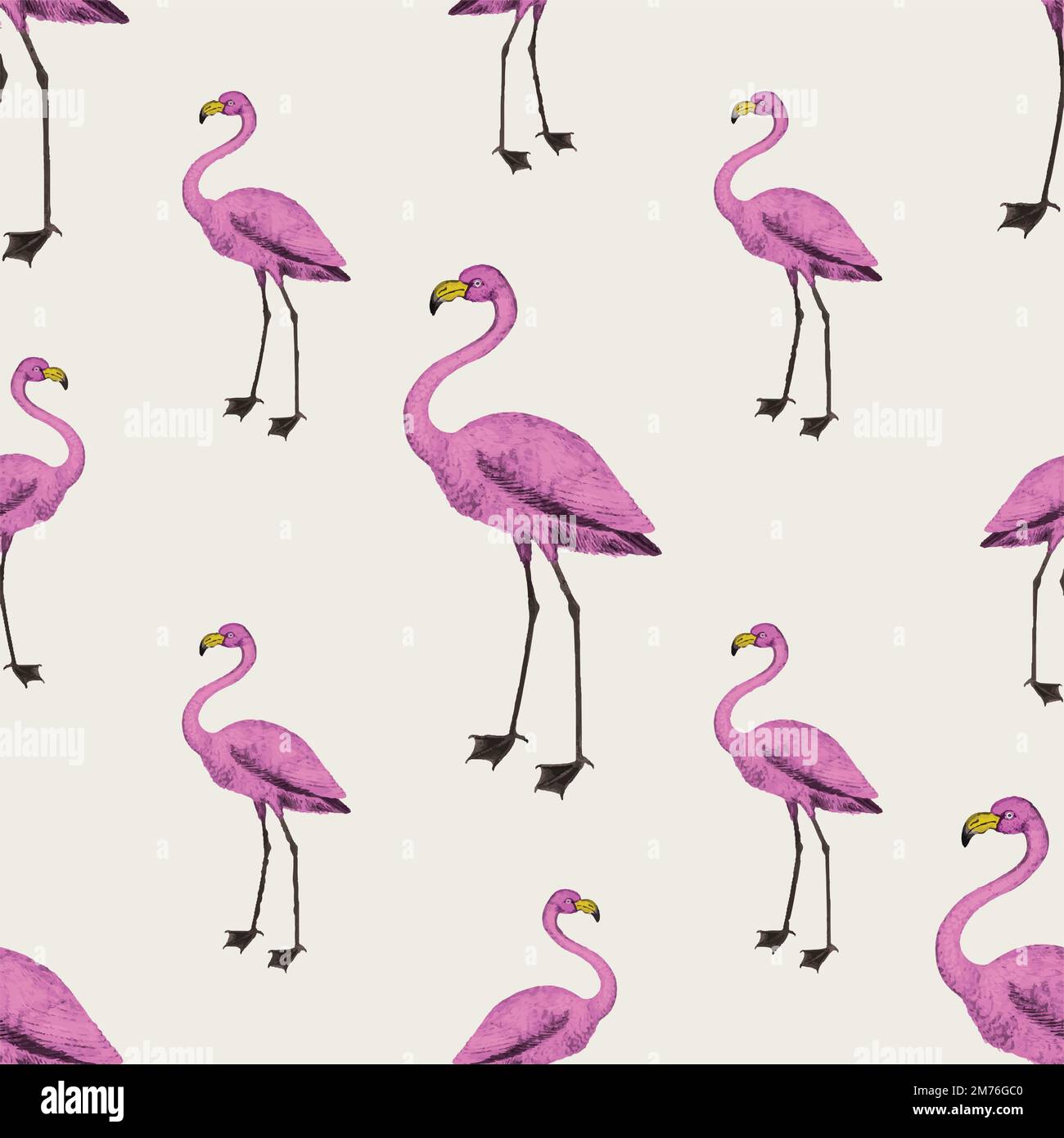 Cute pink flamingo background design Stock Vector Image & Art - Alamy