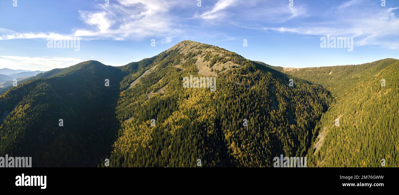 High hills with dark pine woods on autumn bright day. Amazing scenery ...