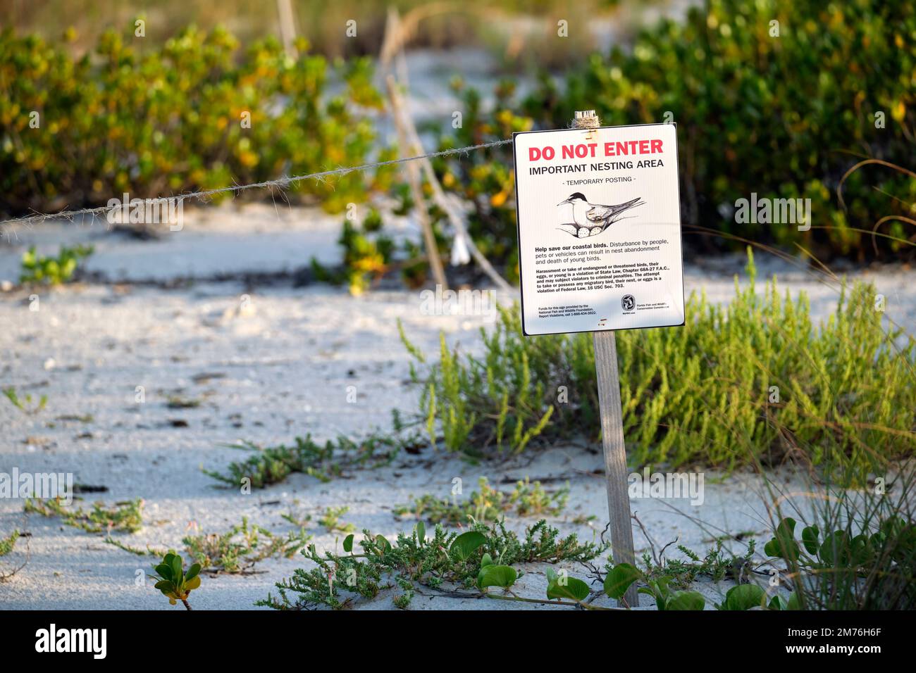Signboard with warning about nesting area of sea birds on seaside beach ...