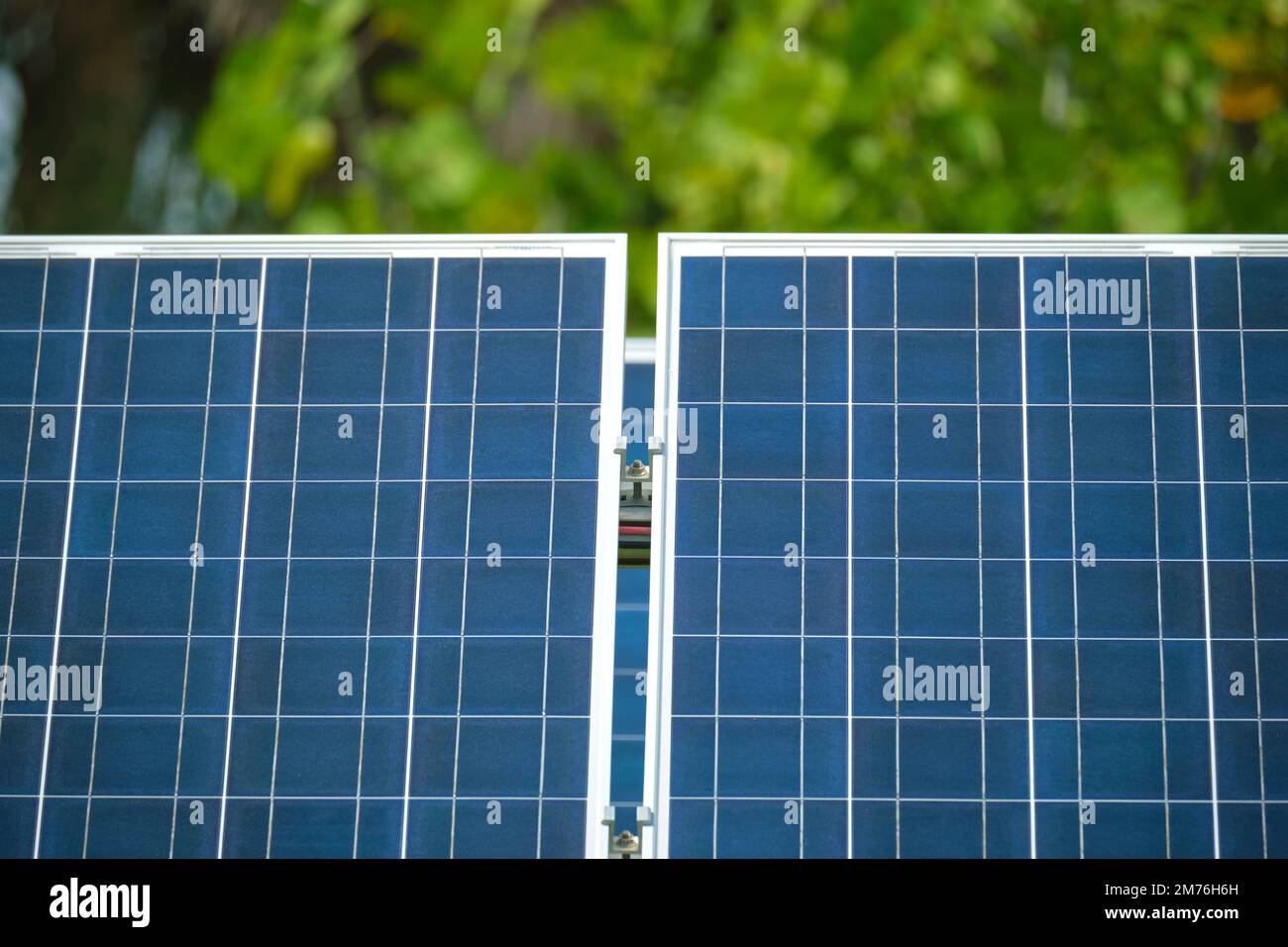 Solar photovoltaic panels mounted on stand-alone frame on backyard ...