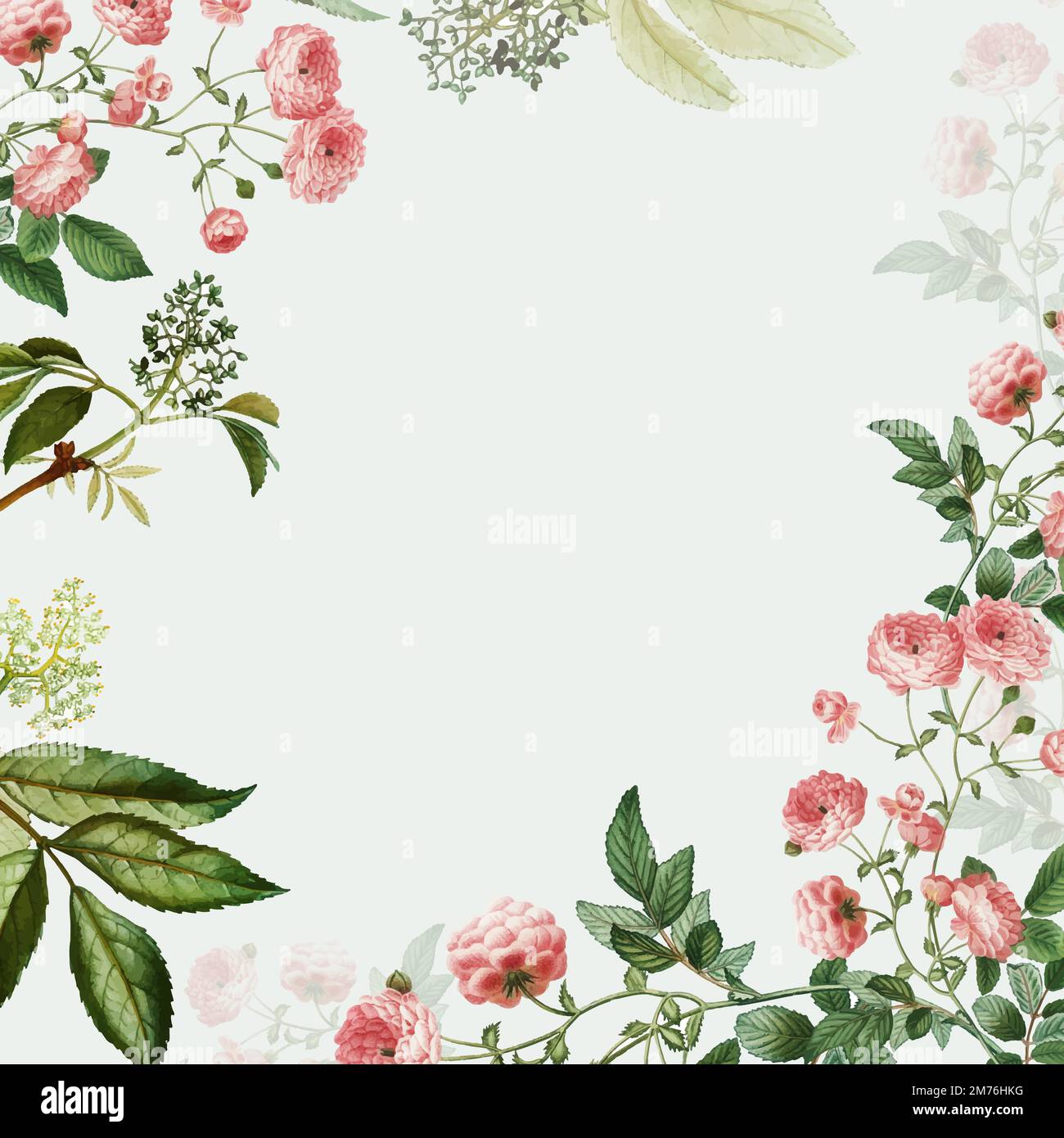 Vintage botanical frame design vector Stock Vector Image & Art - Alamy