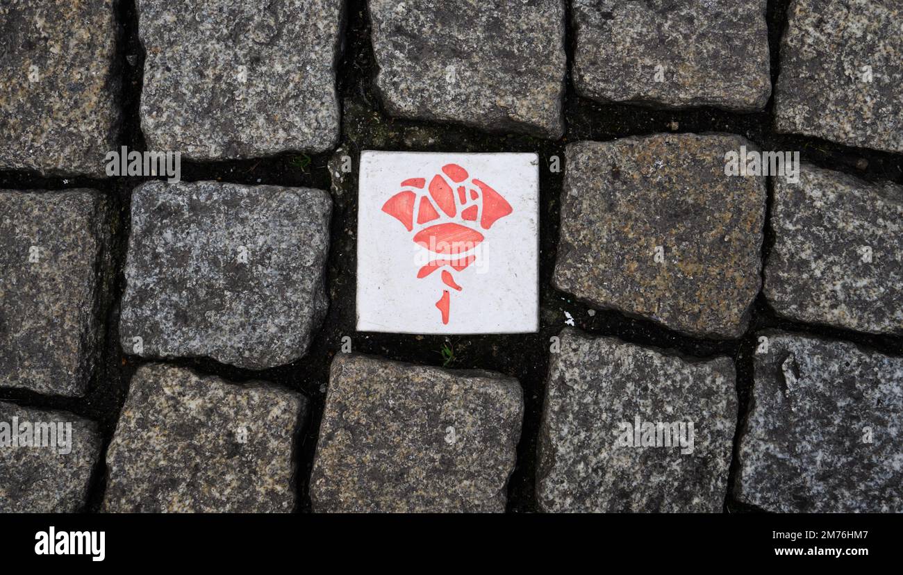Hildesheim, Germany. 05th Jan, 2023. A rose marks the Hildesheim Rose ...