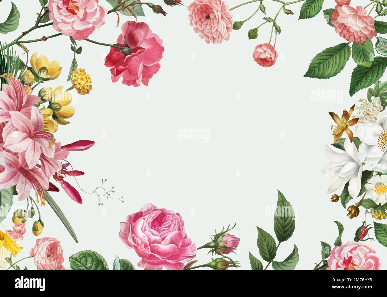 Vintage botanical frame design vector Stock Vector Image & Art - Alamy