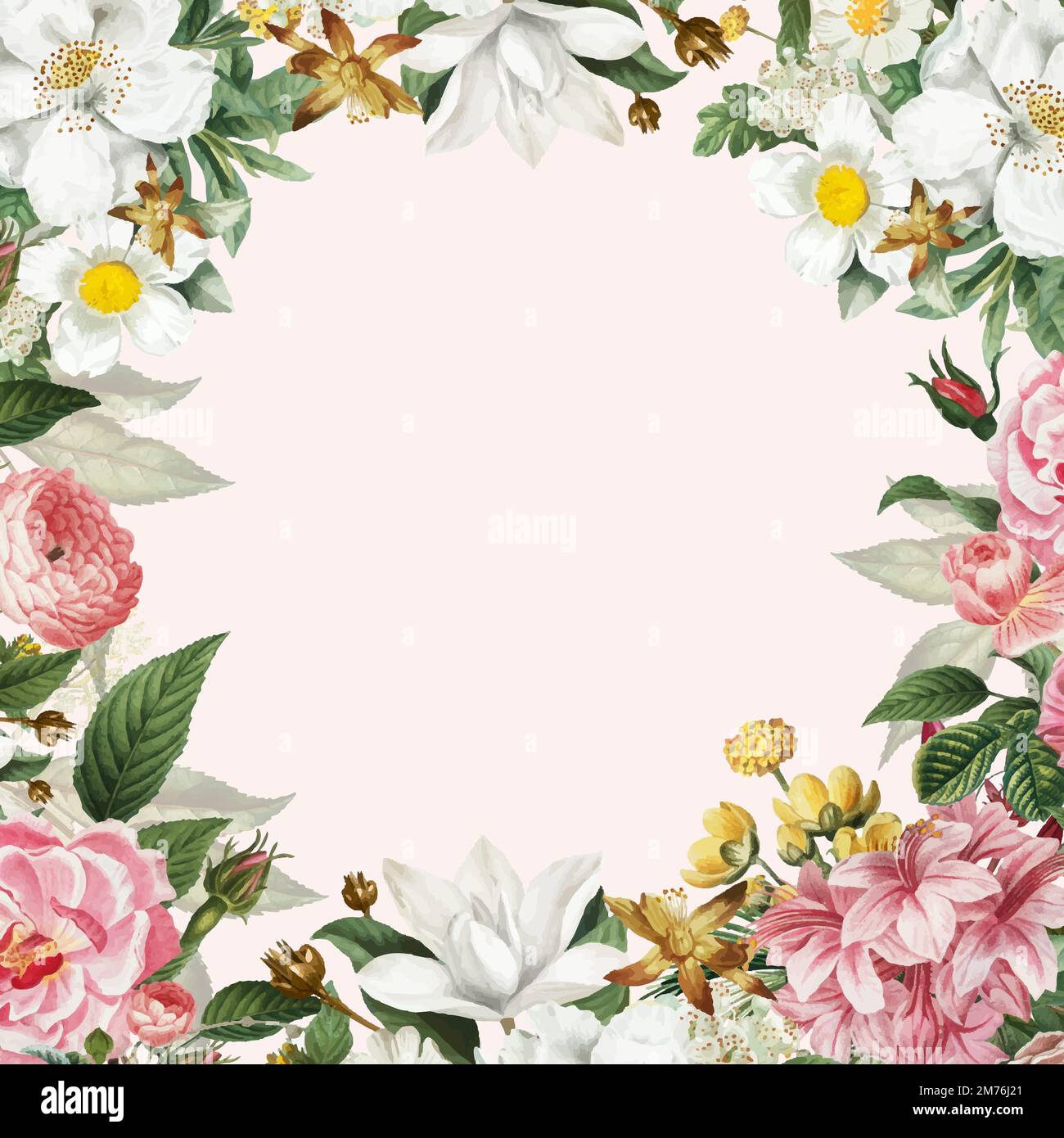 Vintage botanical frame design vector Stock Vector Image & Art - Alamy