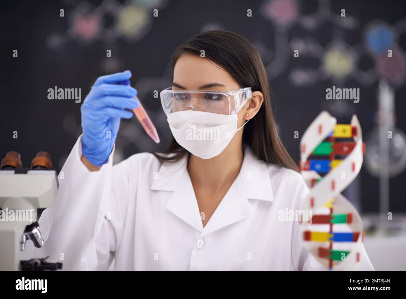 Advances in genetics. a female scientist observing a sample in a test ...