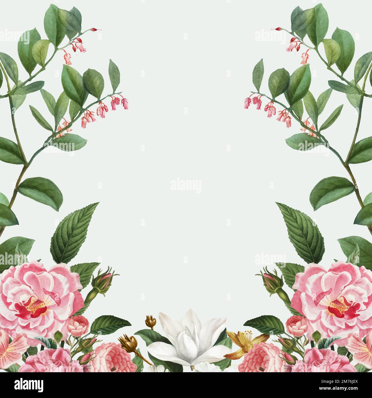 Botanical frame design Stock Vector Image & Art - Alamy