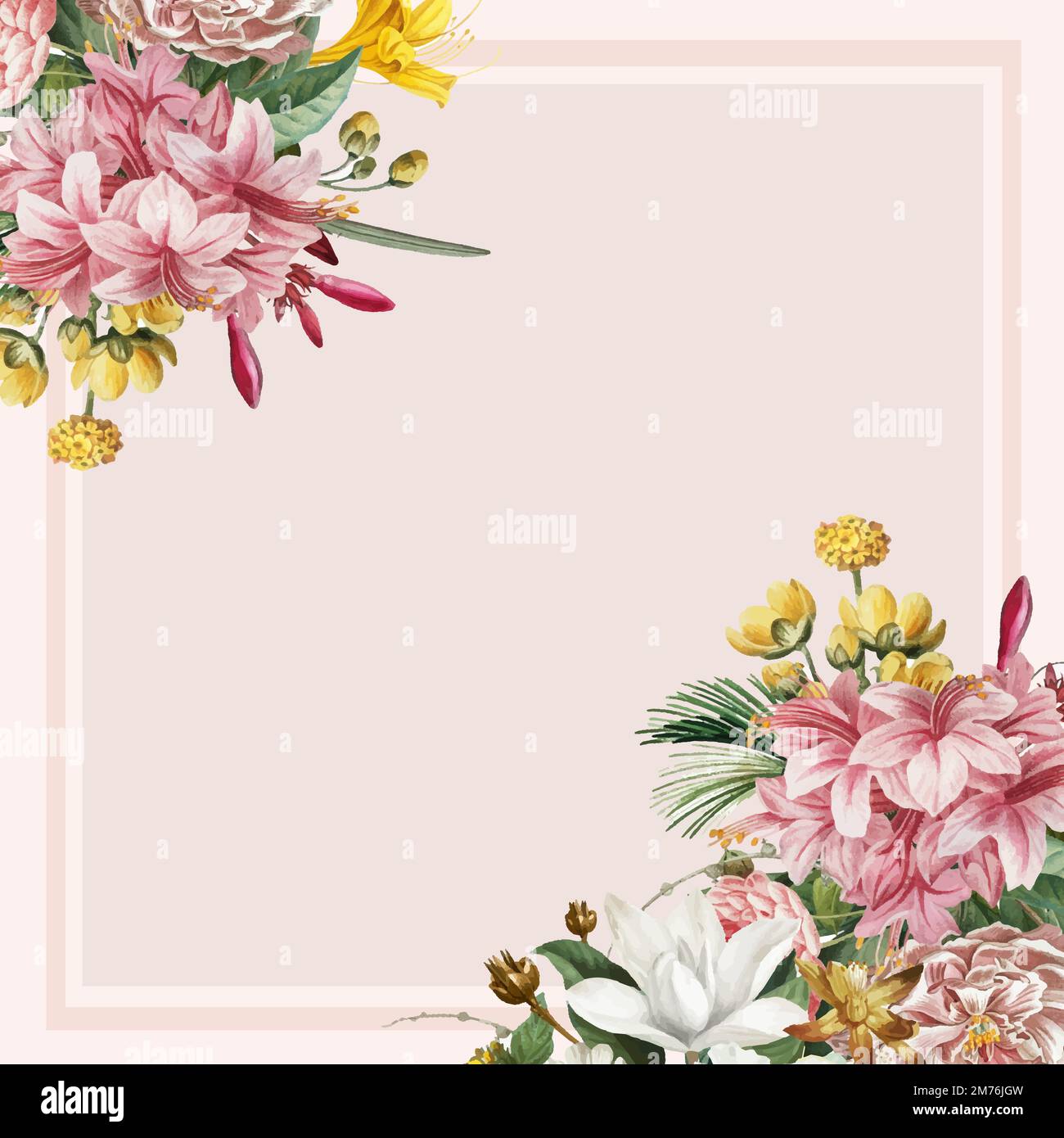 Vintage botanical frame design vector Stock Vector Image & Art - Alamy