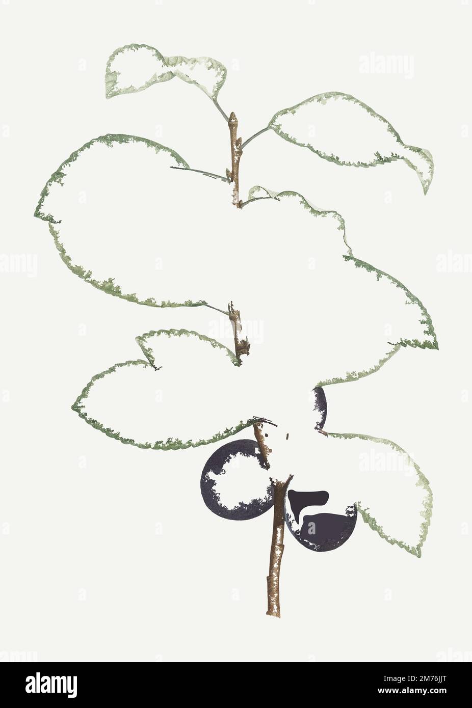 Prune vector vectors hi-res stock photography and images - Alamy