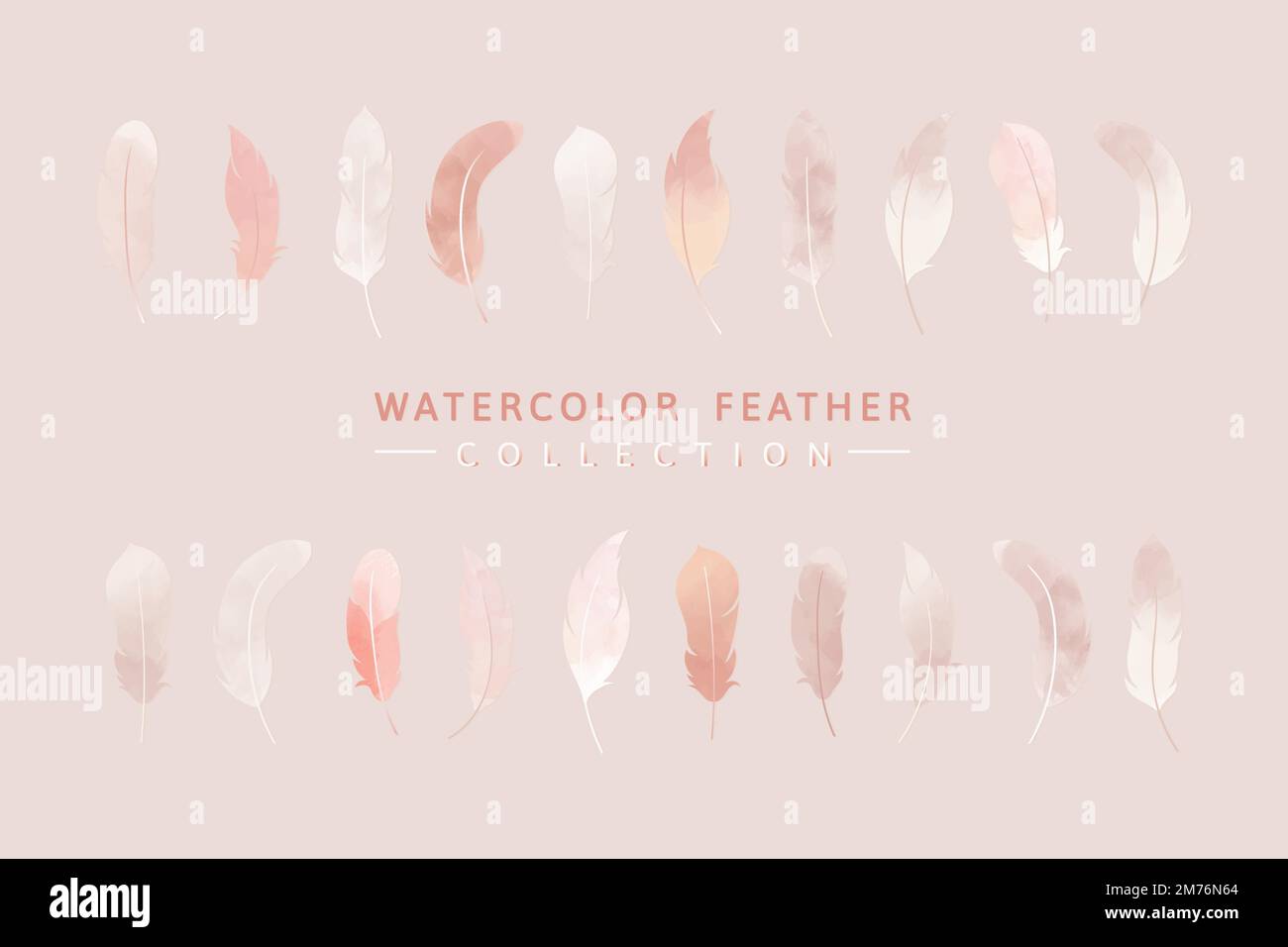 Feather collection Stock Vector Images - Alamy