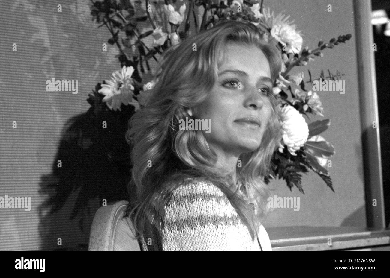 Merete Van Kamp Circa 1980's Credit: Ralph Dominguez/MediaPunch Stock ...