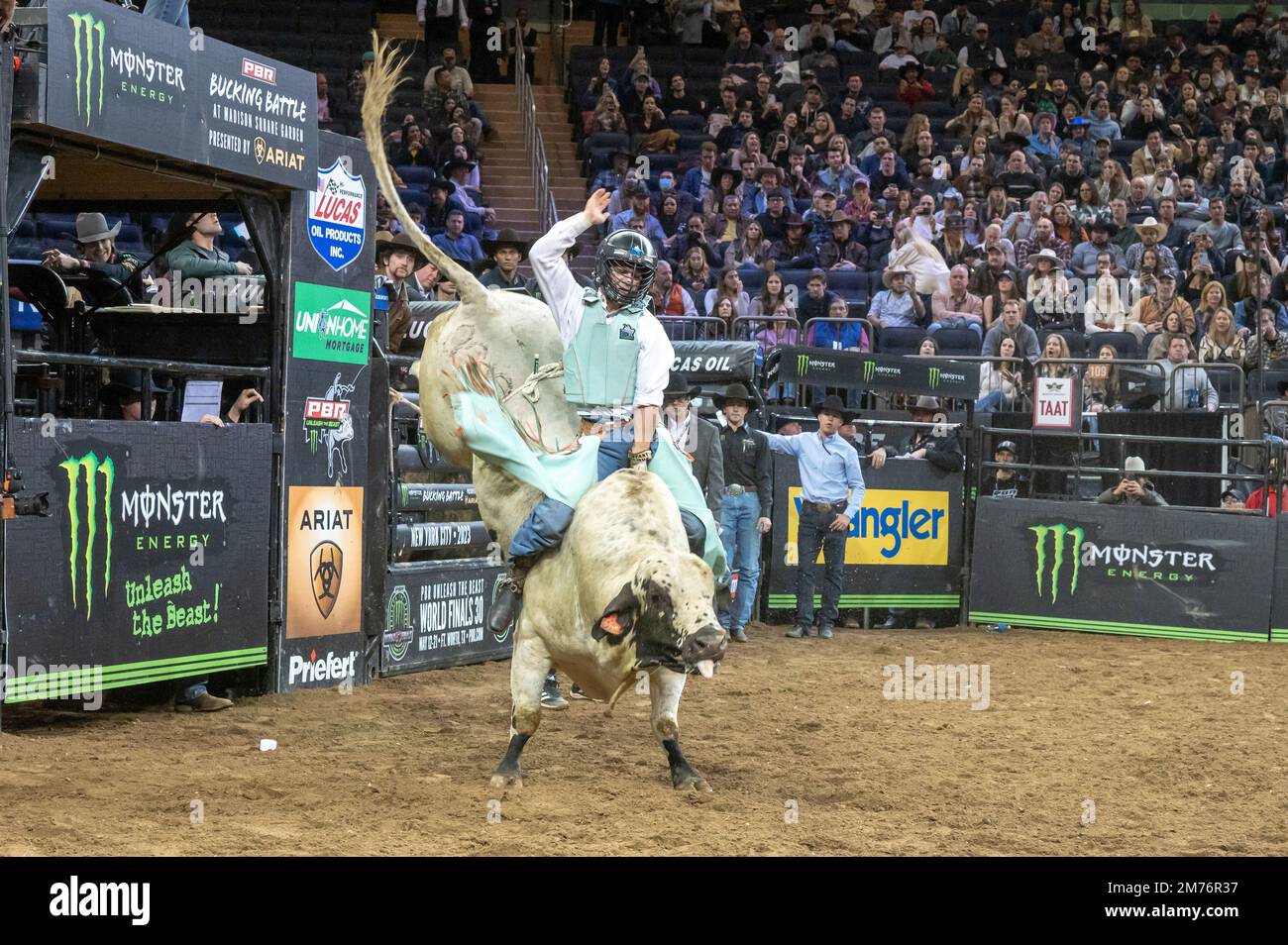 Cowboy playboy hi-res stock photography and images - Alamy