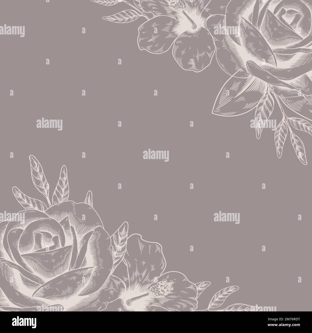 Hand drawn rose framed background vector Stock Vector Image & Art - Alamy
