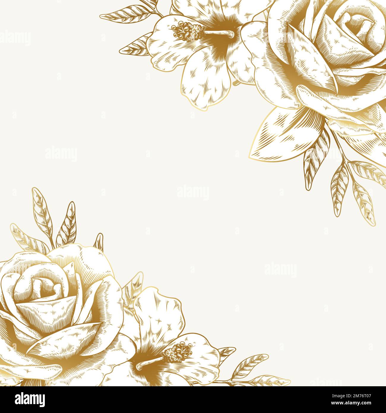Hand drawn rose framed background vector Stock Vector Image & Art - Alamy