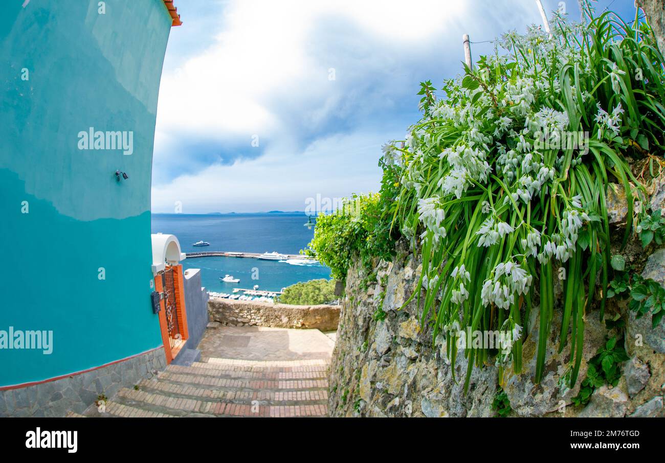 April 23 2022-Capri narrow and very beautiful streets with many details ...