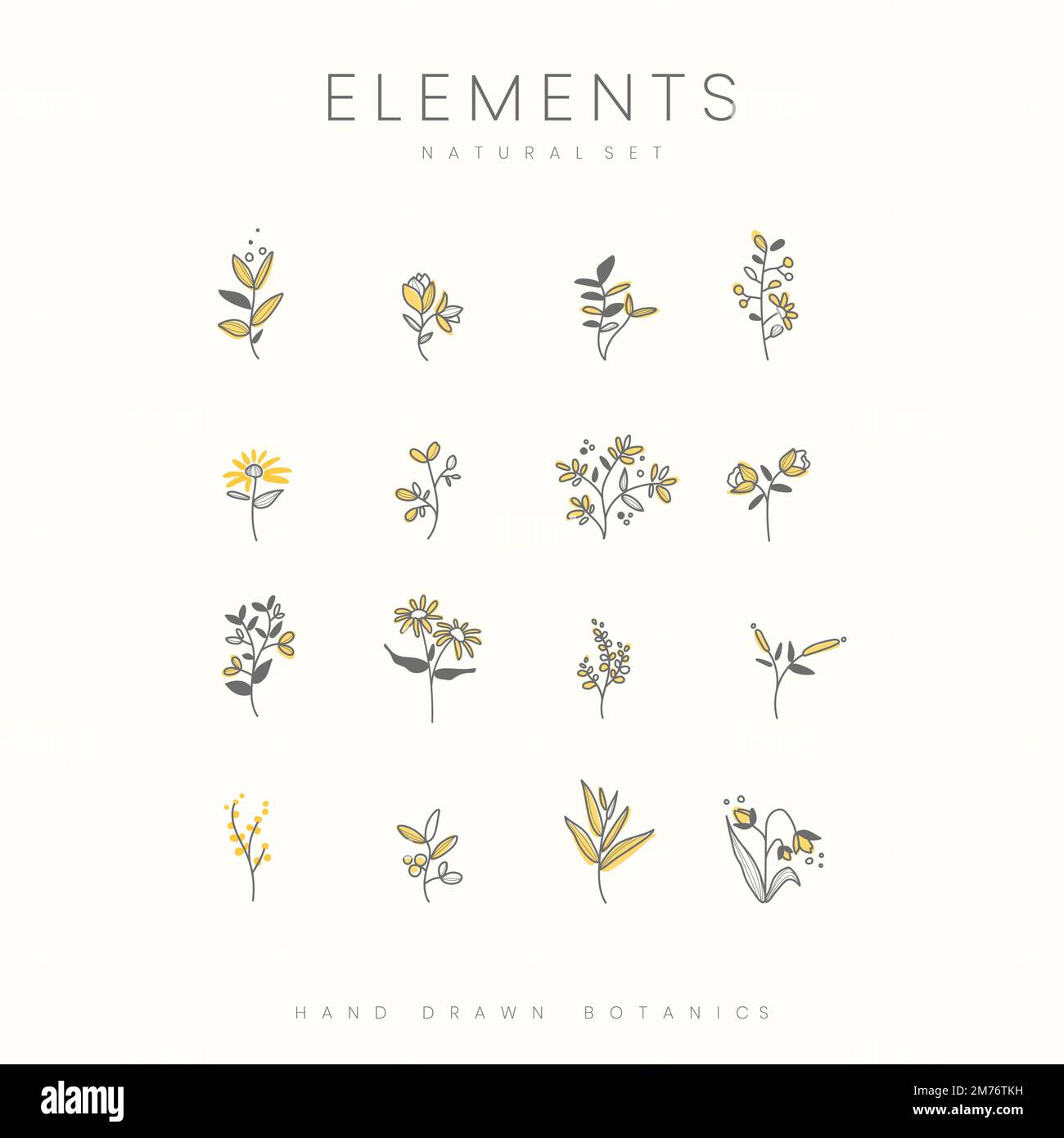 Set of hand drawn botanical elements vector Stock Vector Image & Art ...