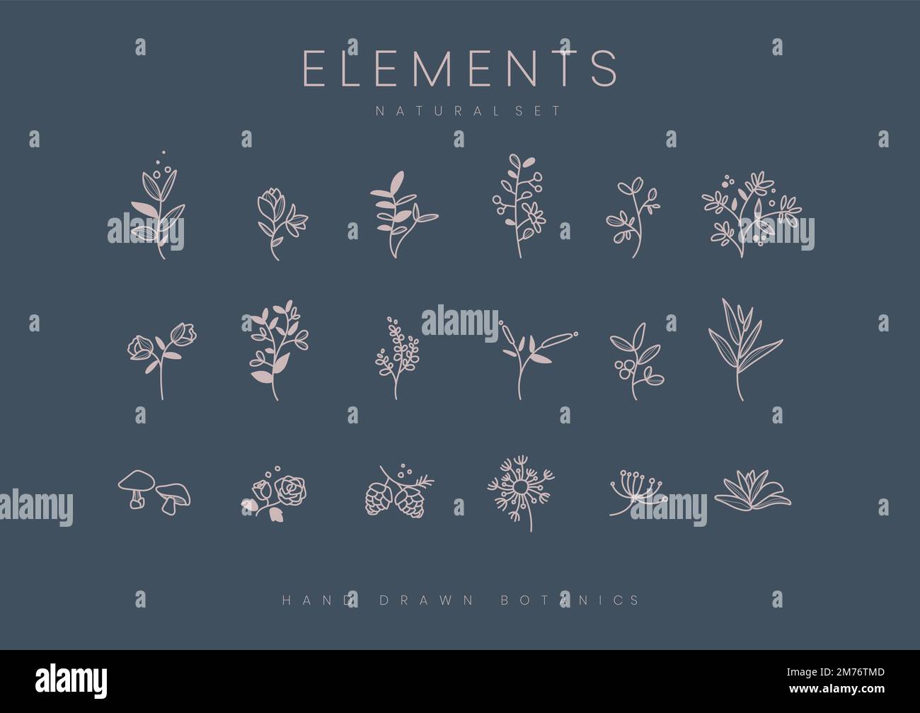 Set of hand drawn botanical elements vector Stock Vector Image & Art ...