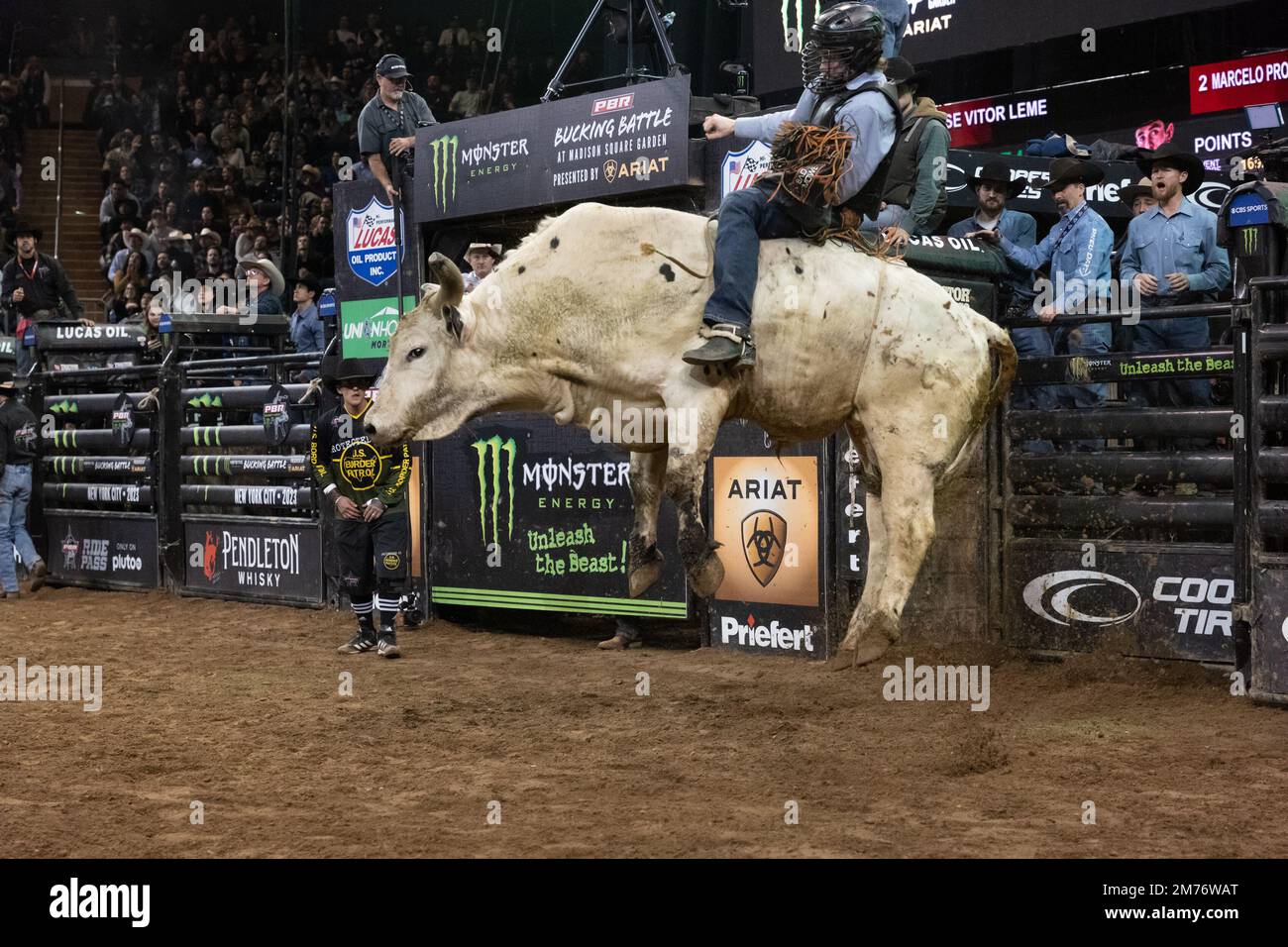 New York, New York, USA. 7th Jan, 2023. Professional bull rider BOB ...