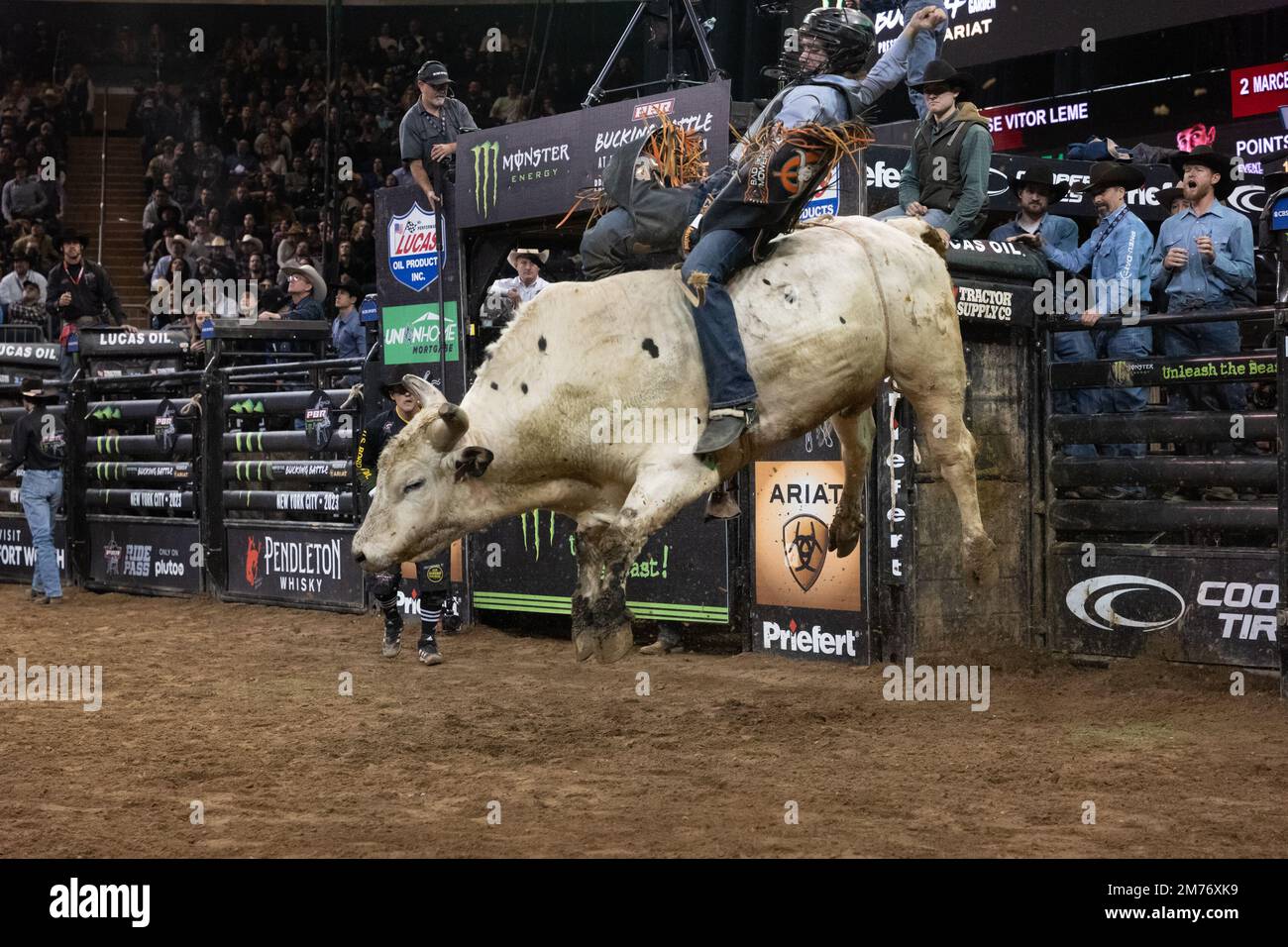 New York, New York, USA. 7th Jan, 2023. Professional bull rider BOB ...