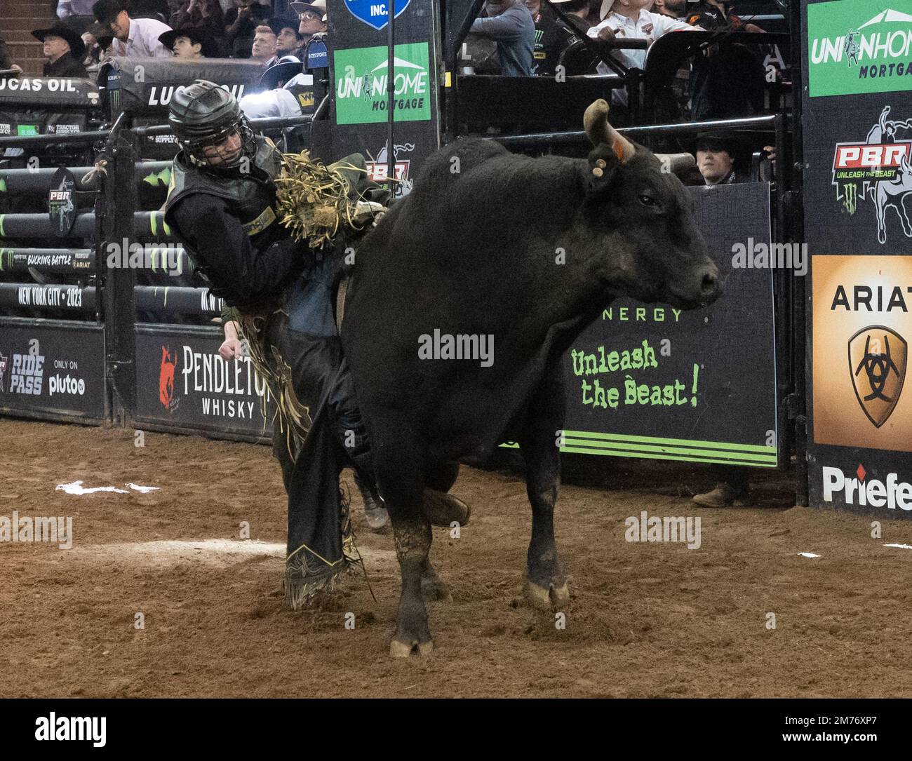New York, New York, USA. 7th Jan, 2023. Professional bull rider DENER ...