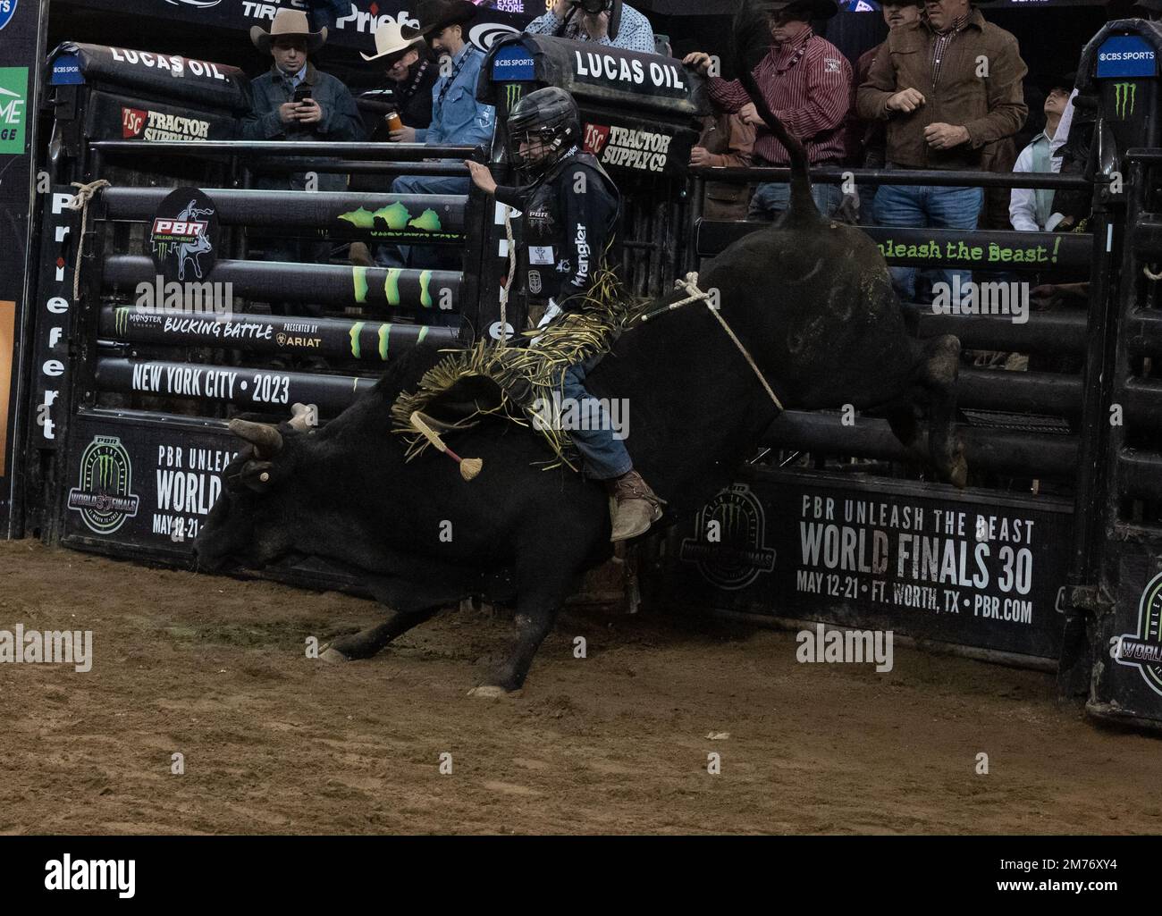 New York, New York, USA. 7th Jan, 2023. Professional bull rider DENER ...