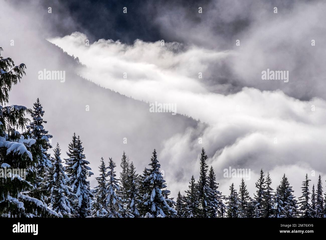 Clouds on the Wolf Creek Trail at Hurricane Ridge, Olympic National ...