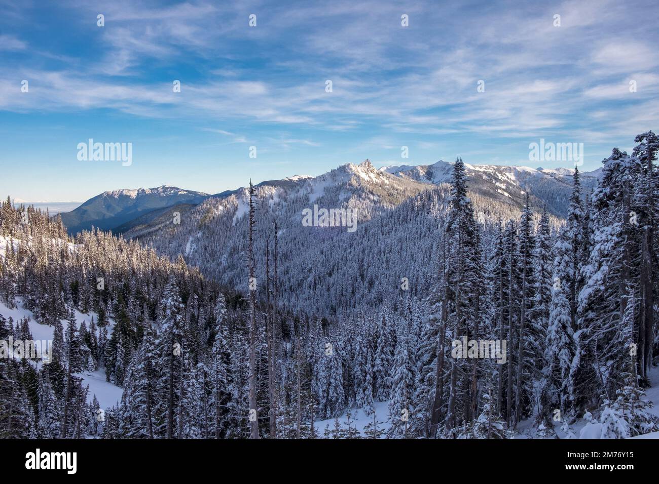 Snow at Hurricane Ridge, Olympic National Park, Washington State, USA ...