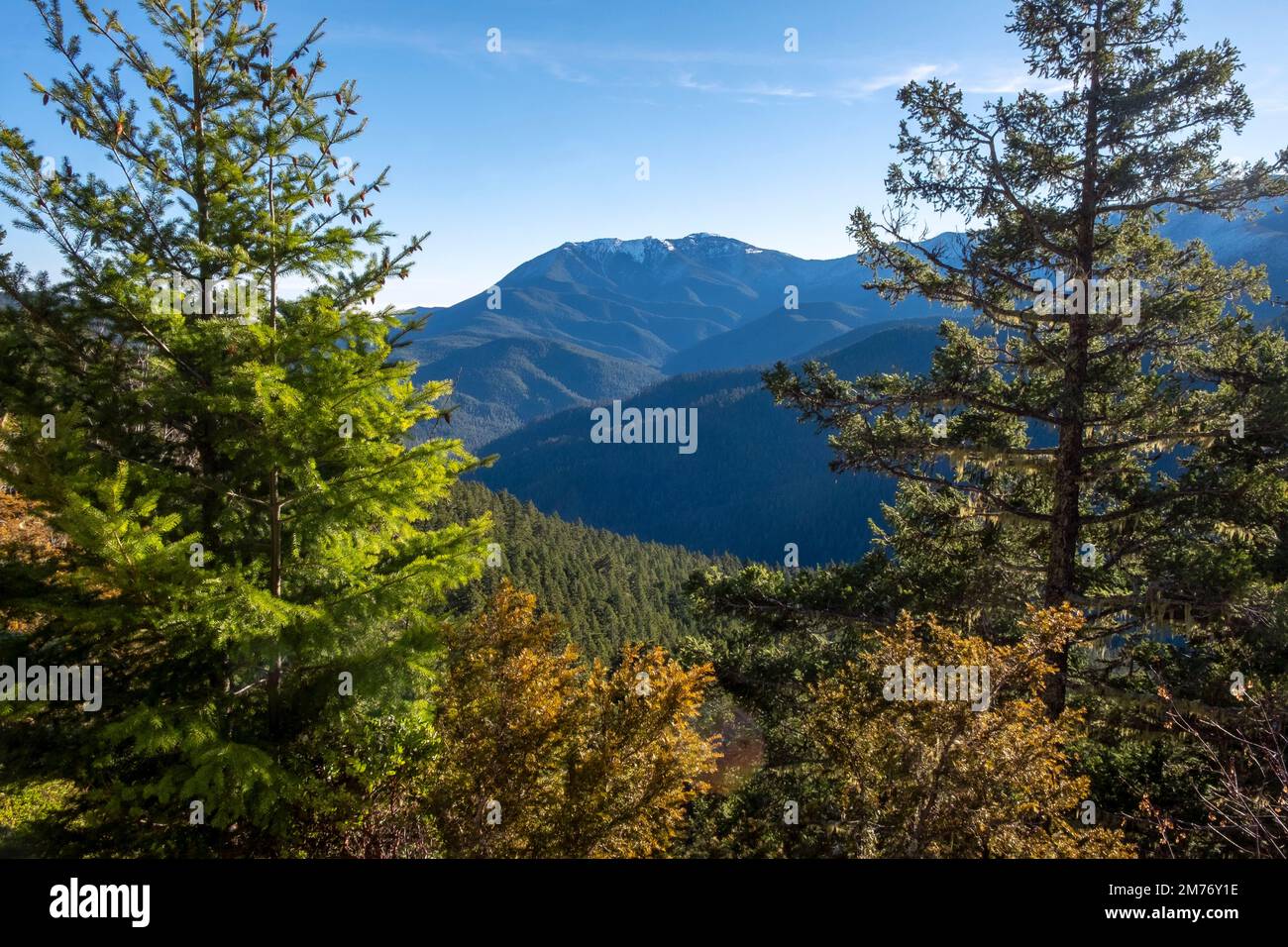 Rain shadow mountain washington hi-res stock photography and images - Alamy