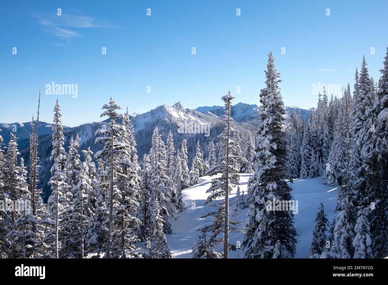 Snow at Hurricane Ridge, Olympic National Park, Washington State, USA ...