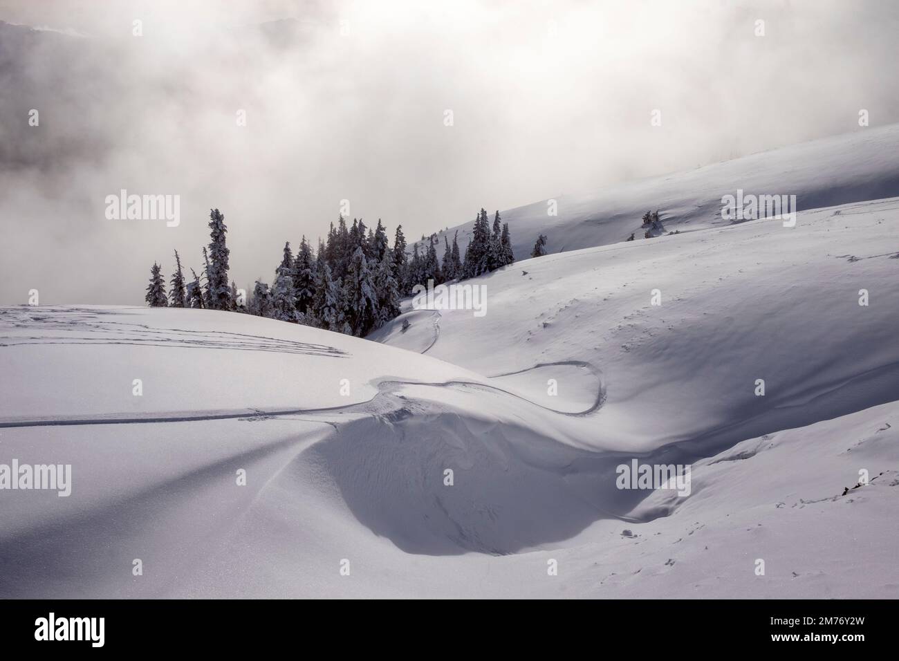 Snow at Hurricane Ridge, Olympic National Park, Washington State, USA ...