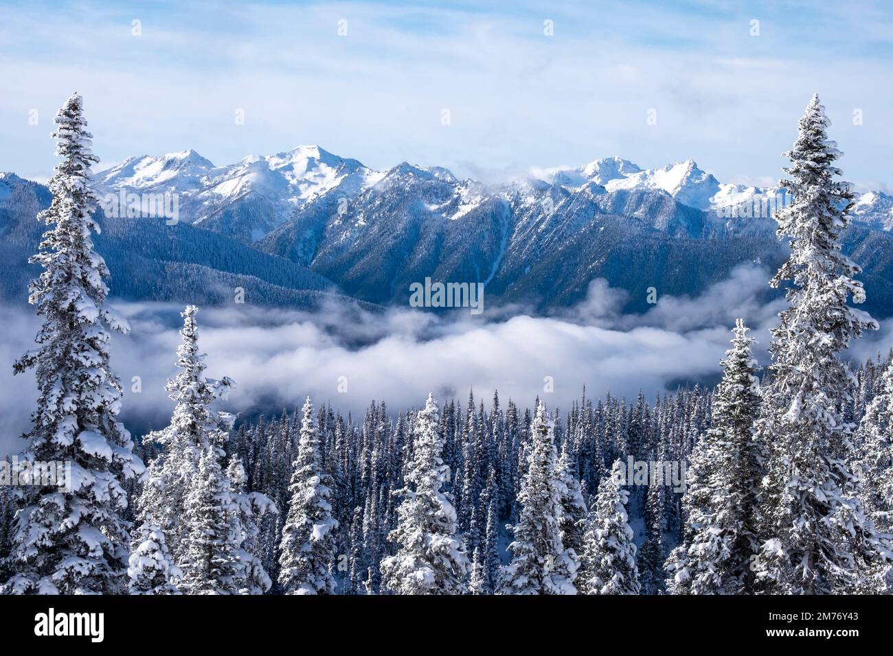 Snow at Hurricane Ridge, Olympic National Park, Washington State, USA ...