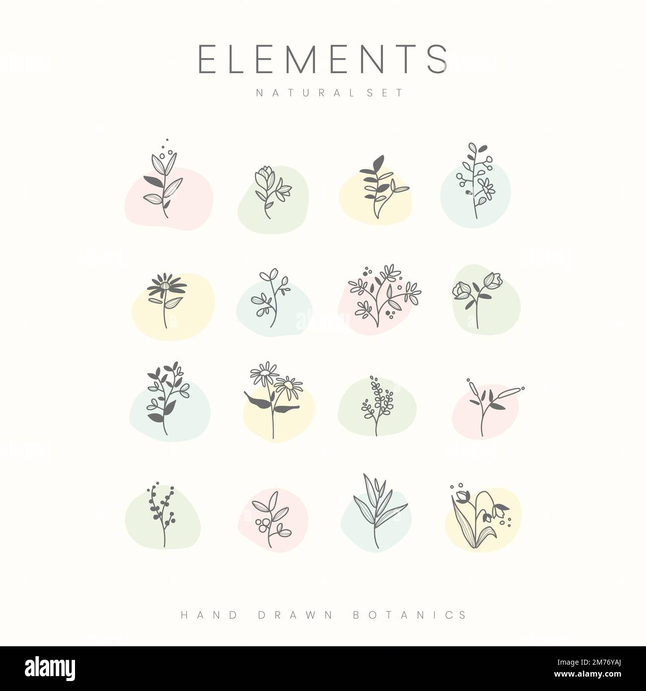 Set of hand drawn botanical elements vector Stock Vector Image & Art ...
