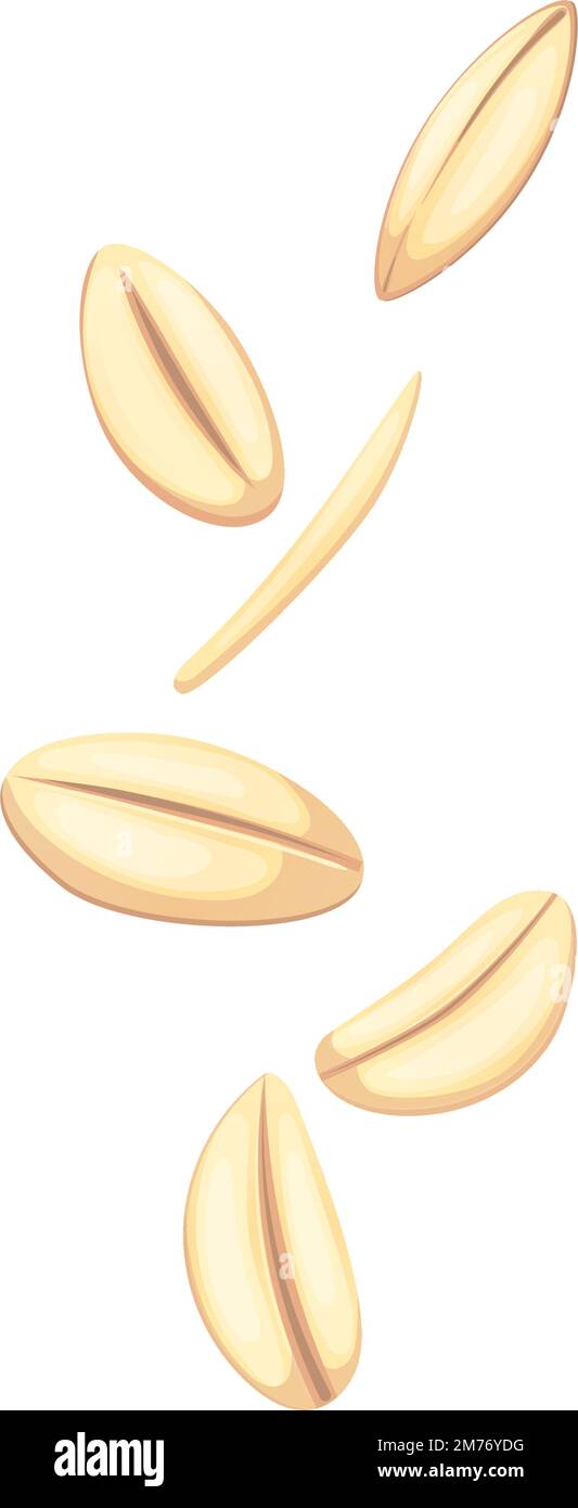 oatmeal grain seed cartoon vector illustration Stock Vector Image & Art ...