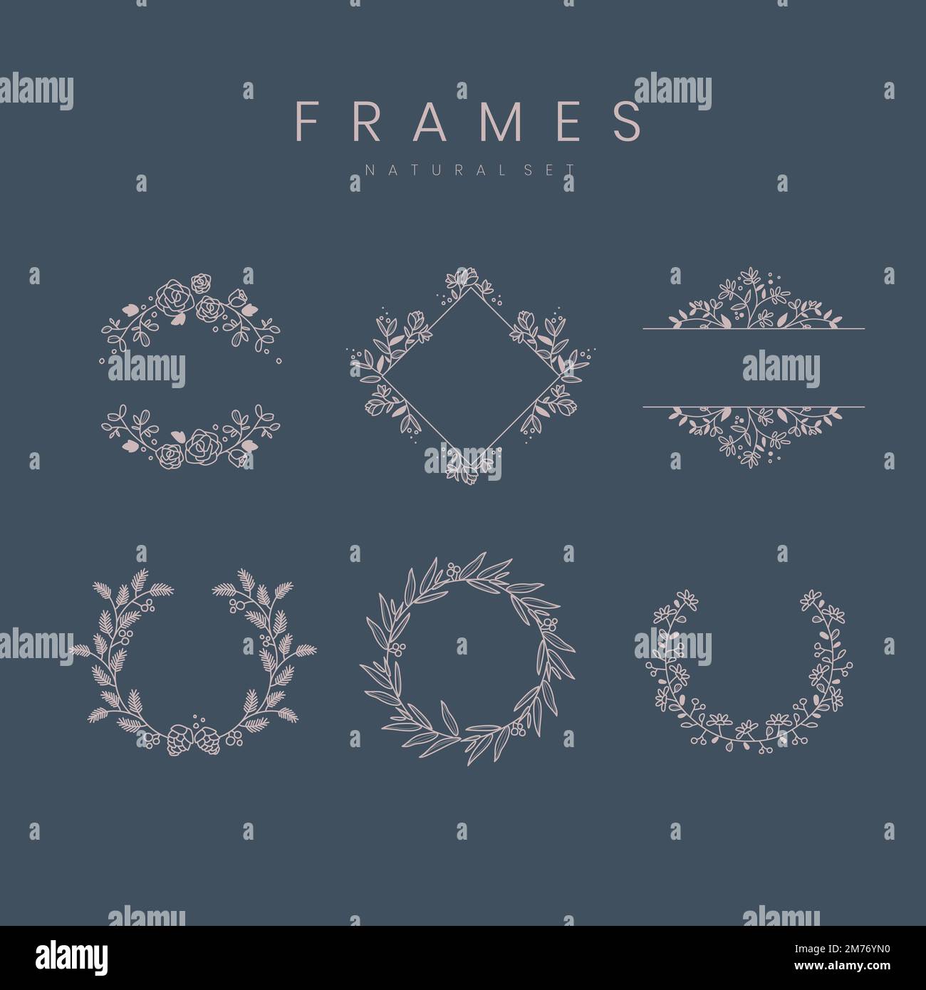 Set of botanical frame design elements vector Stock Vector Image & Art ...