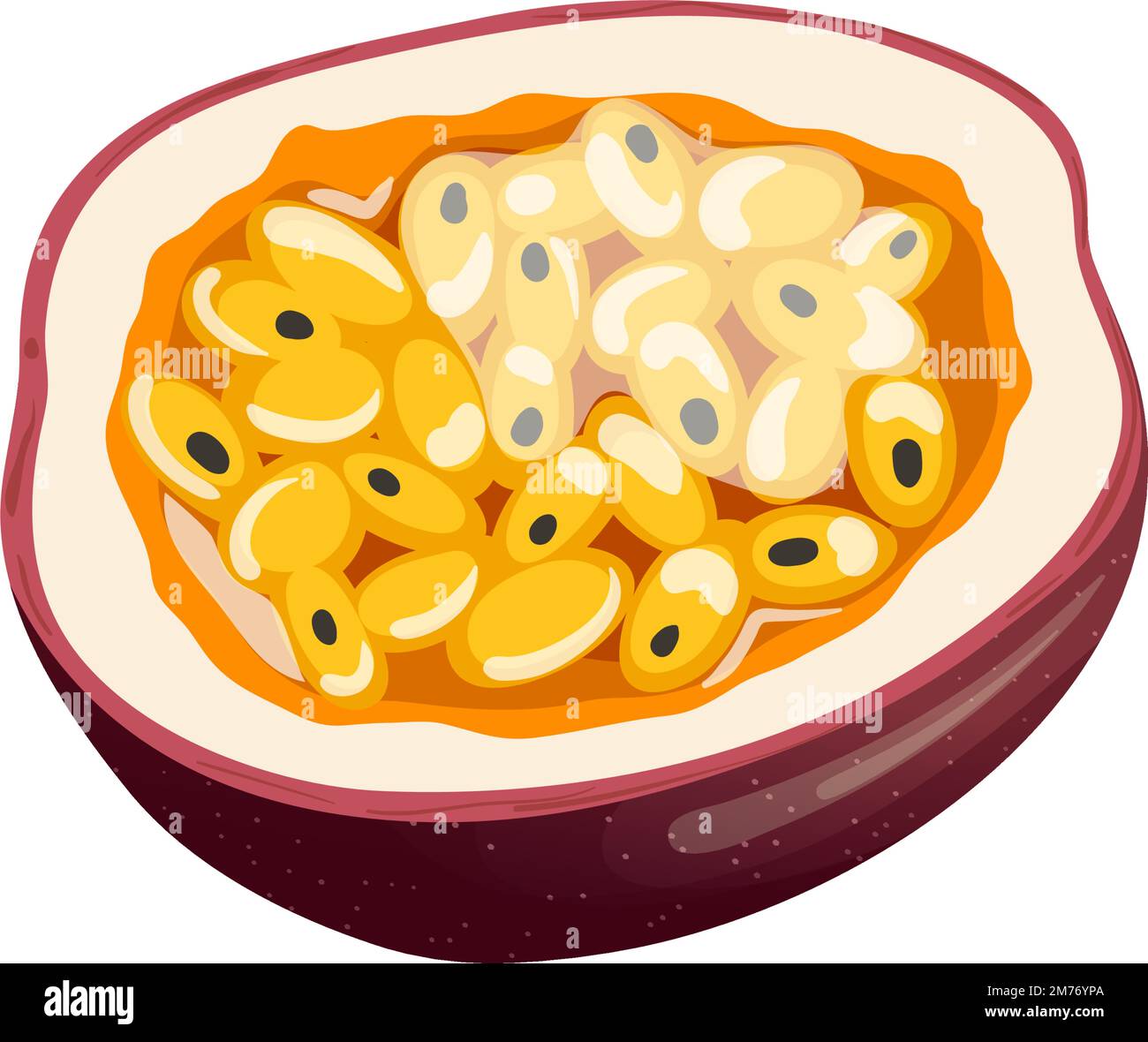 passion fruit slice cartoon vector illustration Stock Vector Image ...