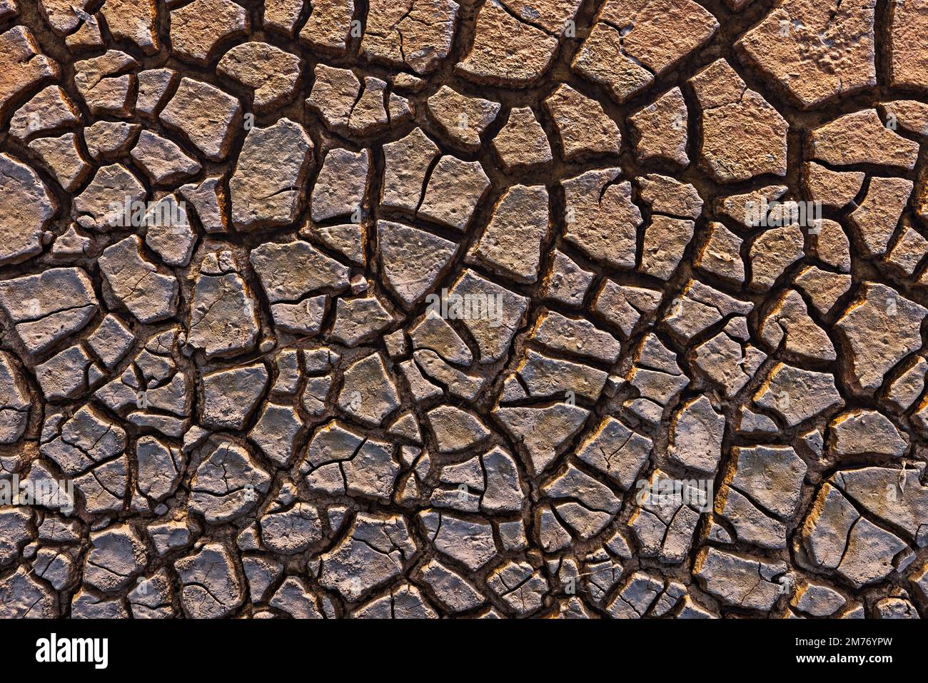 Desert environment texture hi-res stock photography and images - Alamy