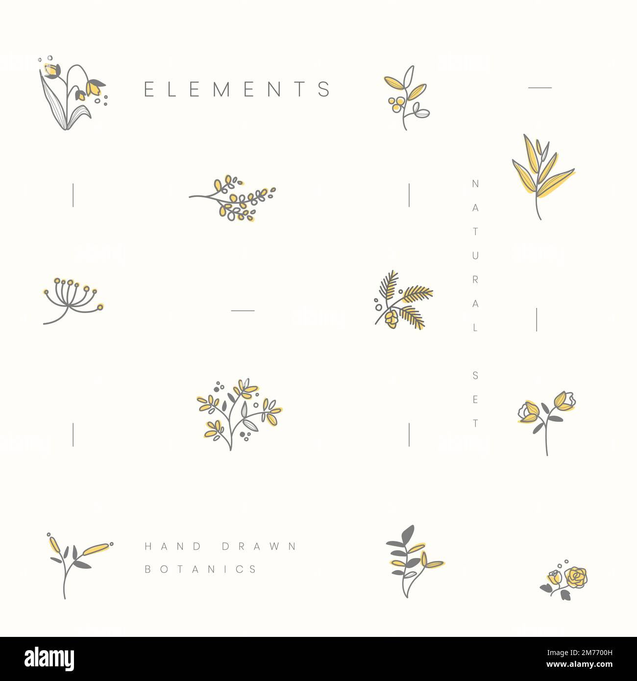 Set of hand drawn botanical elements vector Stock Vector Image & Art ...