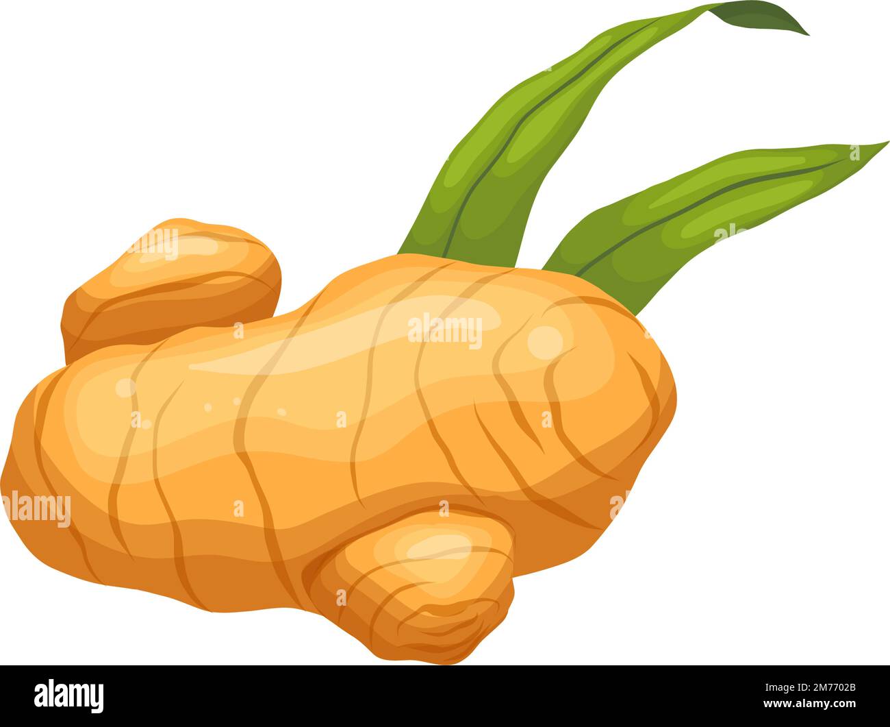 ginger food cartoon vector illustration Stock Vector Image & Art - Alamy