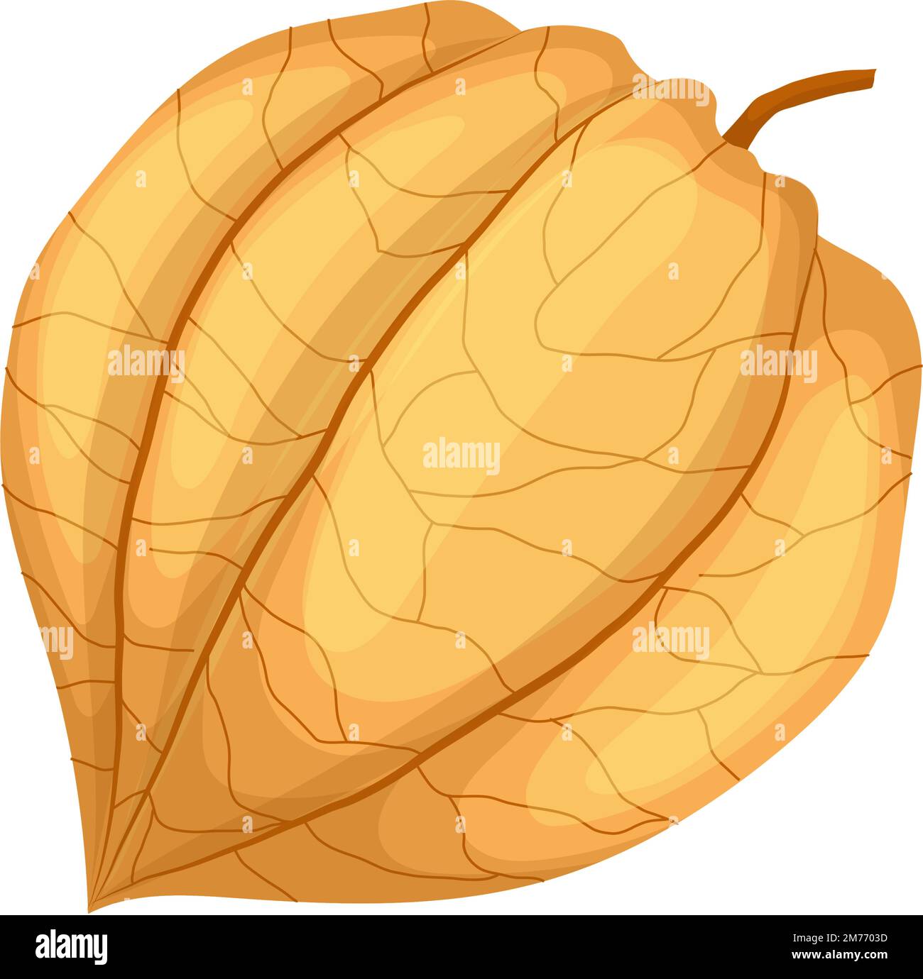Gooseberry cartoon drawing hi-res stock photography and images - Alamy
