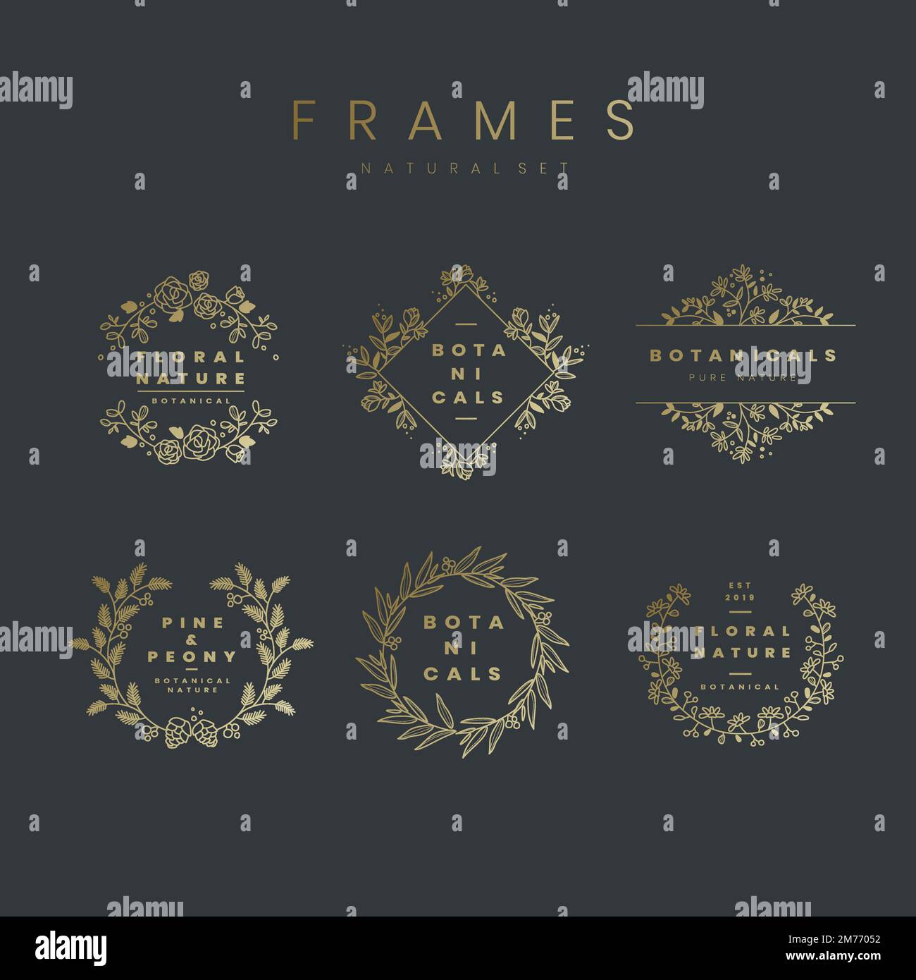 Set of botanical frame design elements vector Stock Vector Image & Art ...