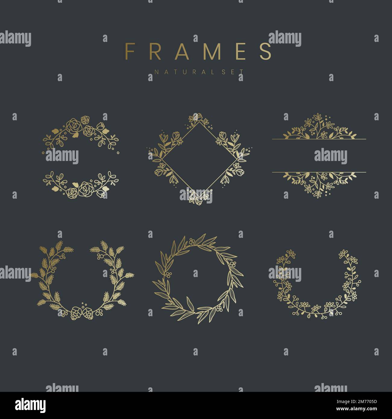 Set of botanical frame design elements vector Stock Vector Image & Art ...