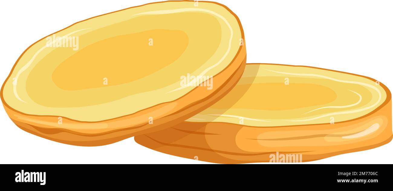 ginger slice raw cartoon vector illustration Stock Vector Image & Art ...