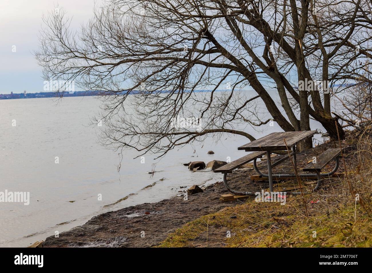 the backyard with a view of the autumn forest - an empty terrace ...