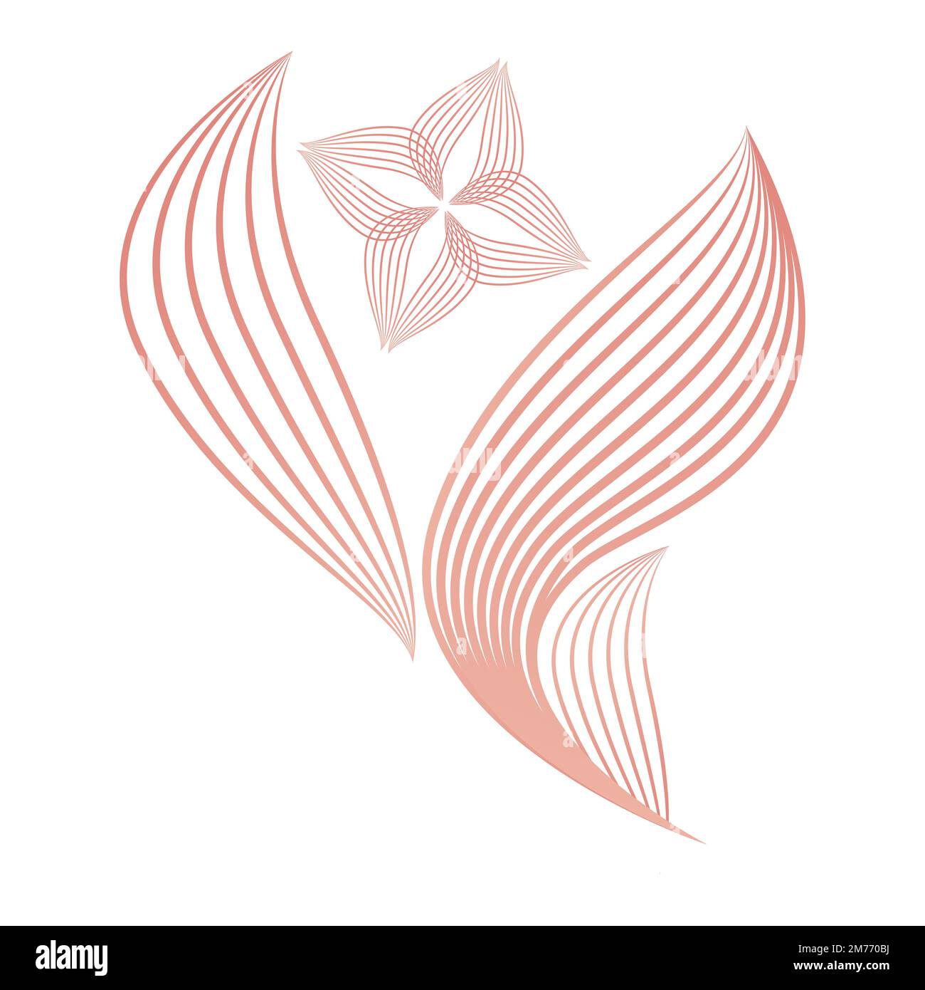 beautiful flower petals, flower line design Stock Photo - Alamy