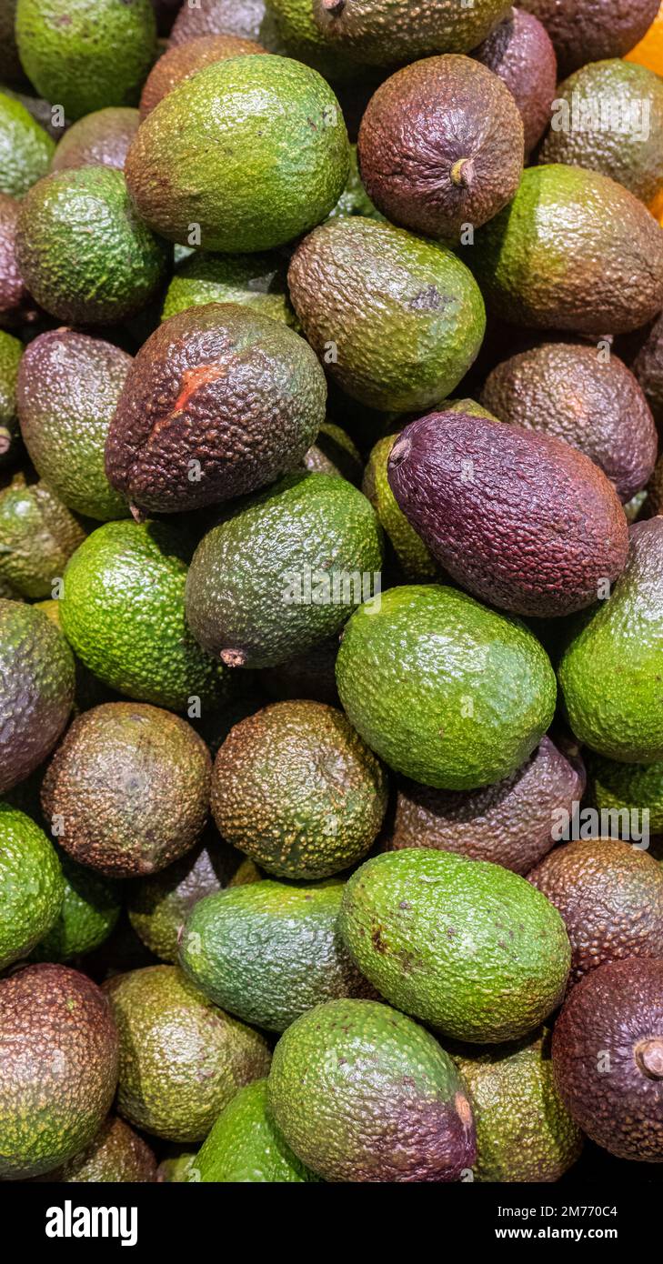 avocado background. avocado close-up on the supermarket shelf Stock ...